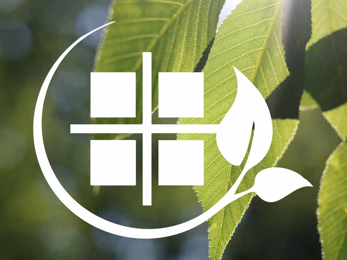Green Team - Reflections on Fire and Hope - Saint Matthew Lutheran Church