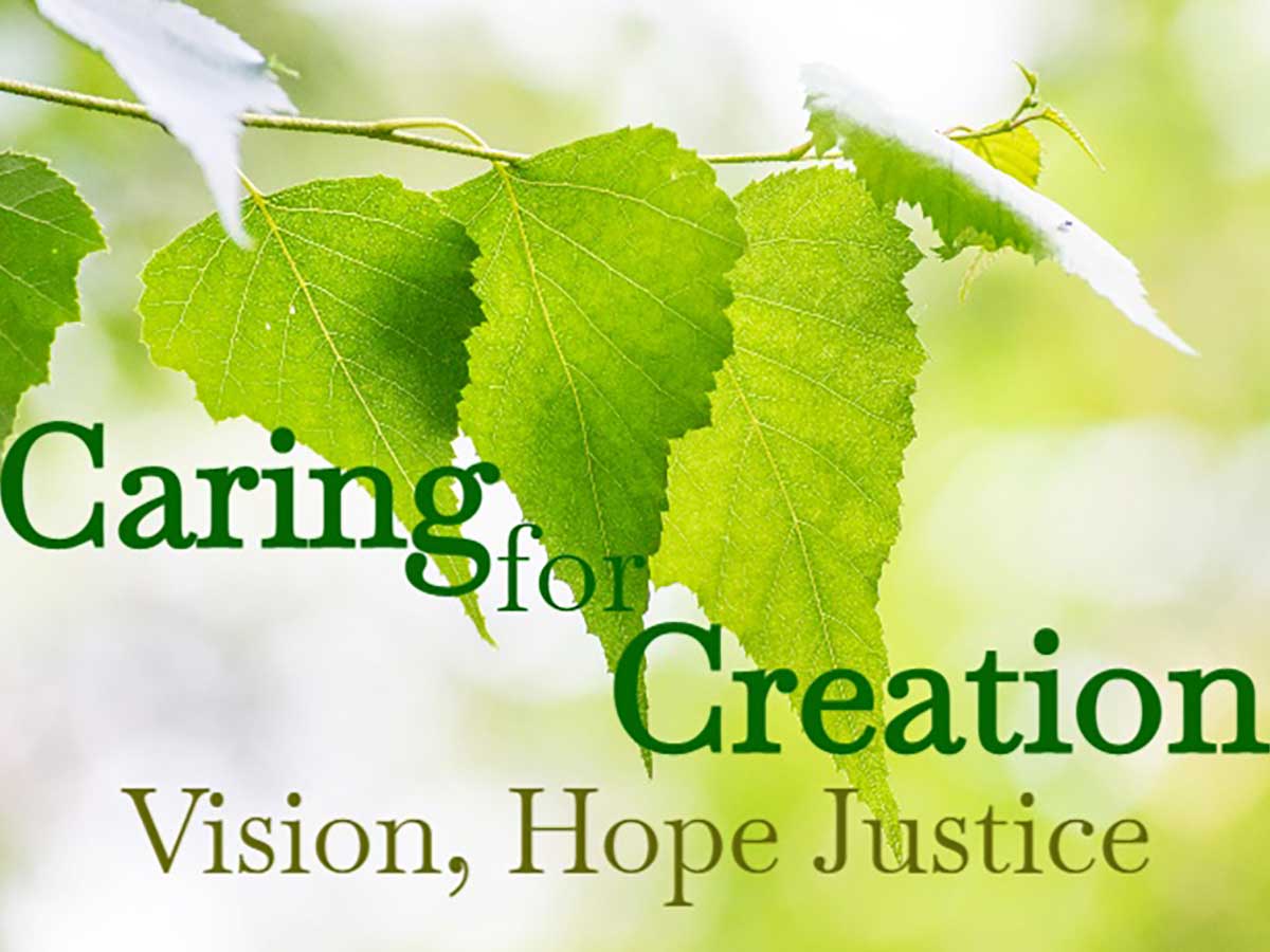 Caring for Creation 4-part zoom discussion series - Saint Matthew ...