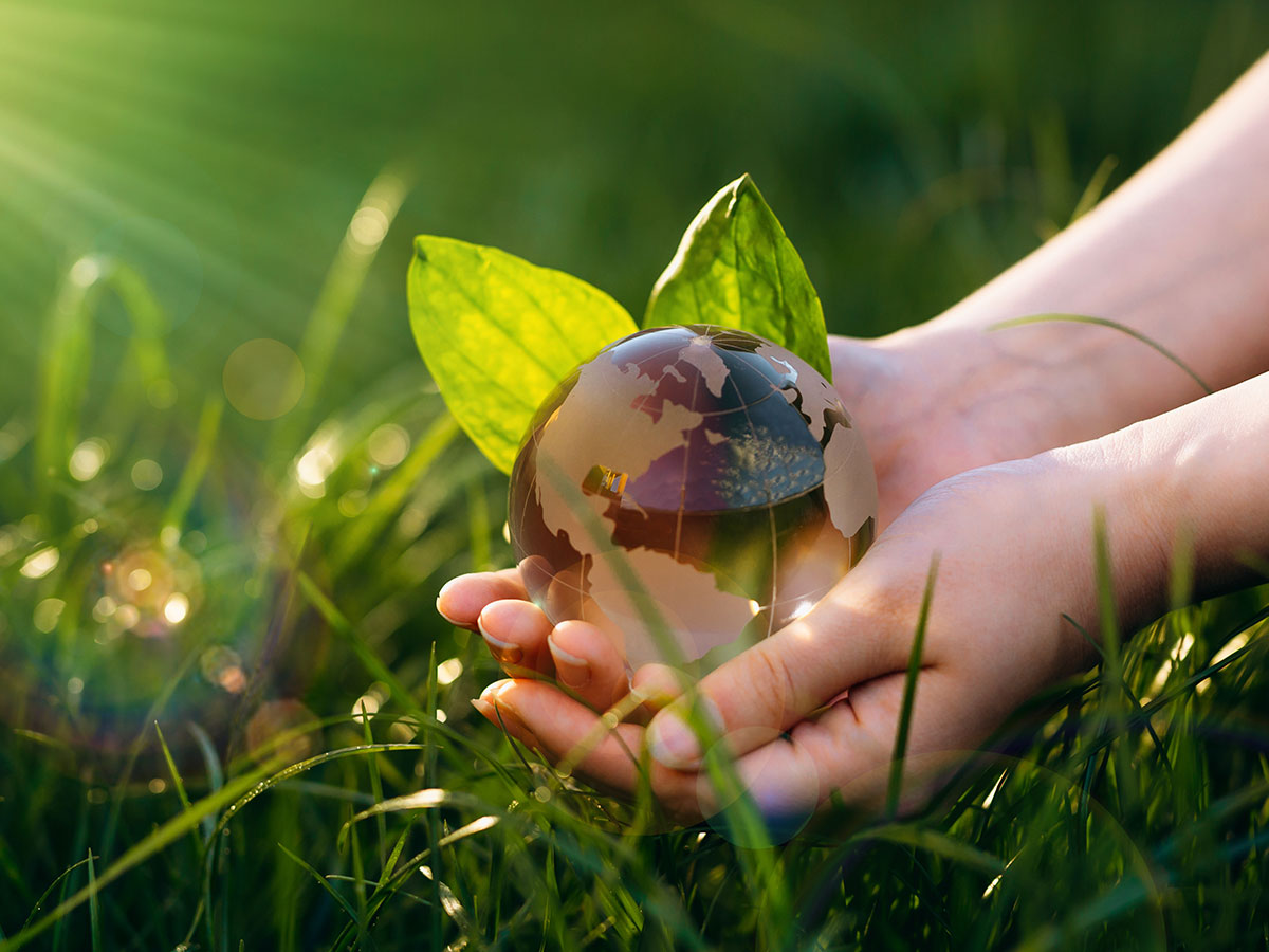 Earth Day Celebration Sunday April 28th - Saint Matthew Lutheran Church