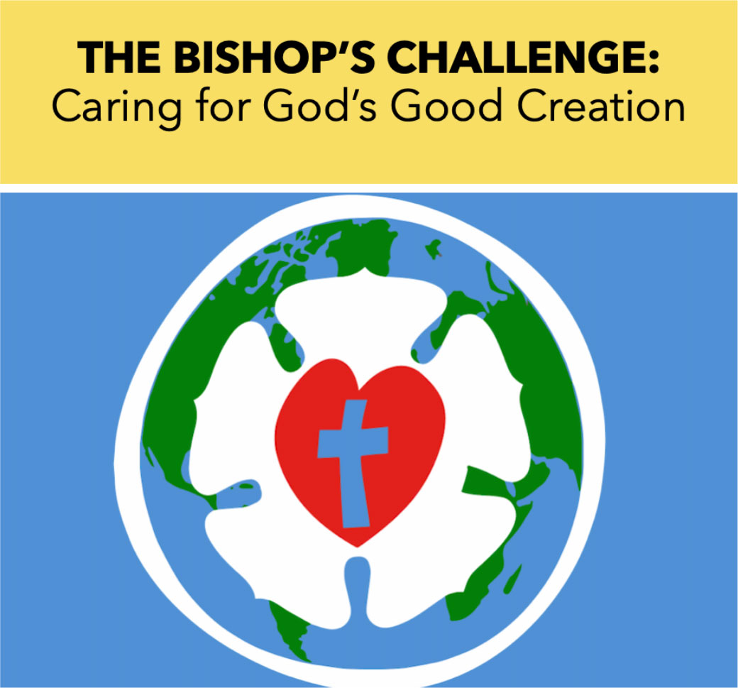 The Bishop's Challenge: Caring for God's Good Creation - Saint Matthew ...